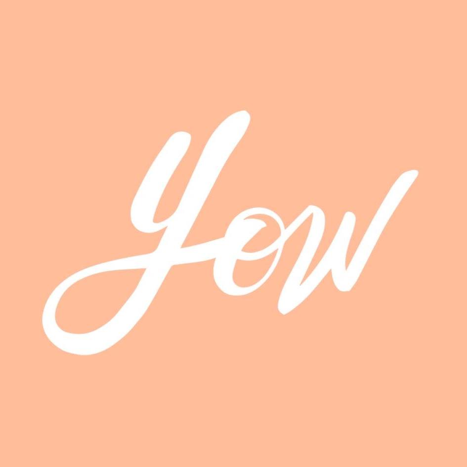 Yow Surfskate Boards – Slick's Skate Store